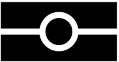 How do I know if my passport has a biometric chip?